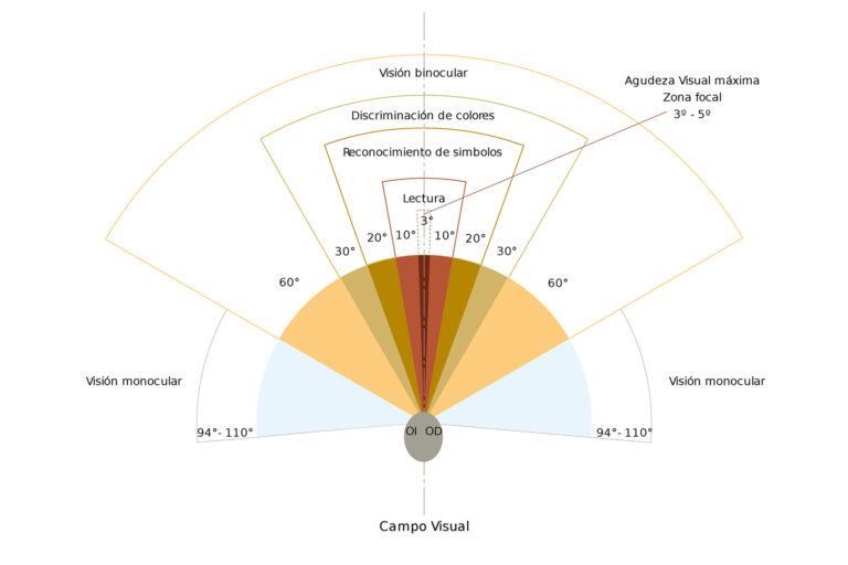La distancia focal del ojo humano