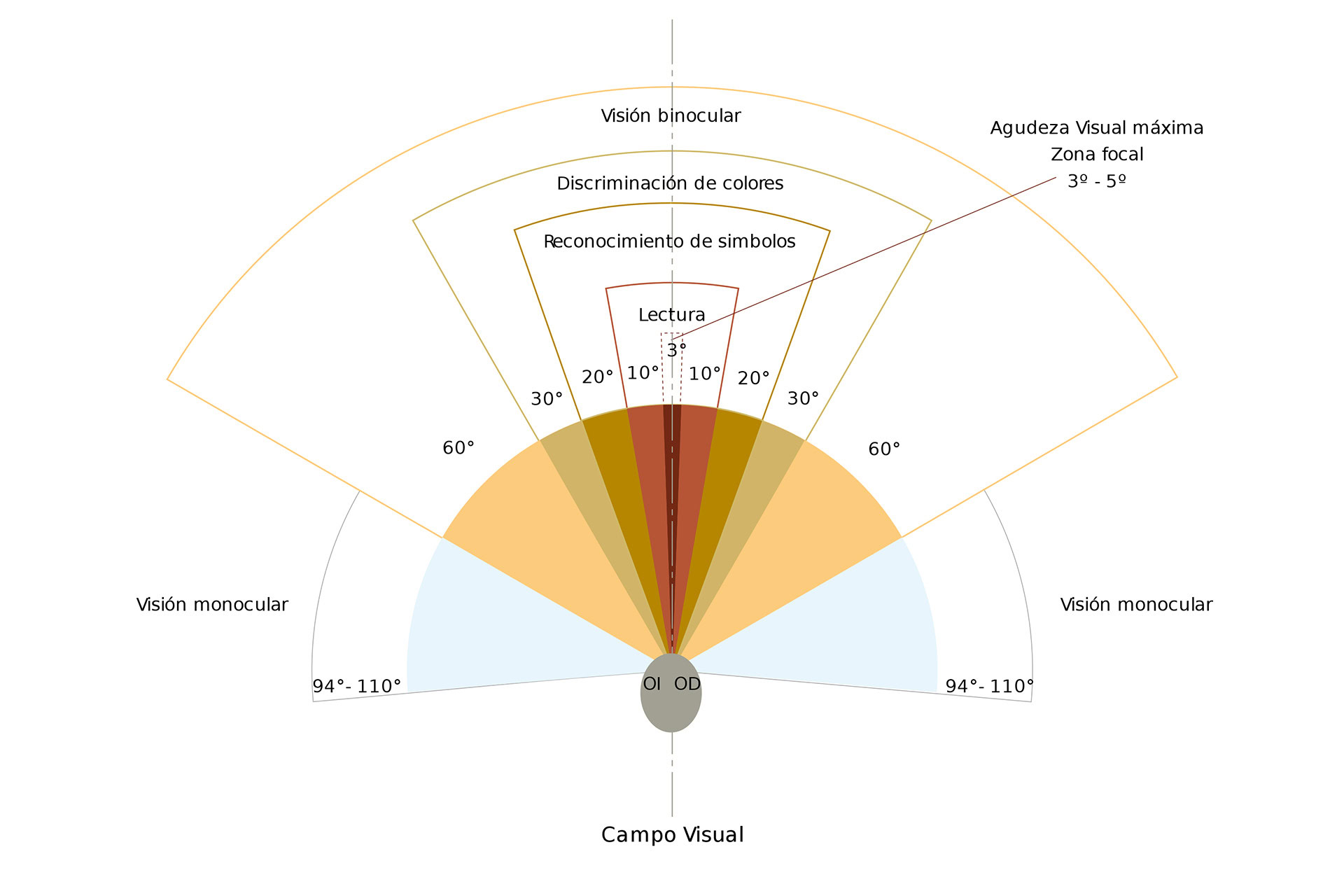 La distancia focal del ojo humano